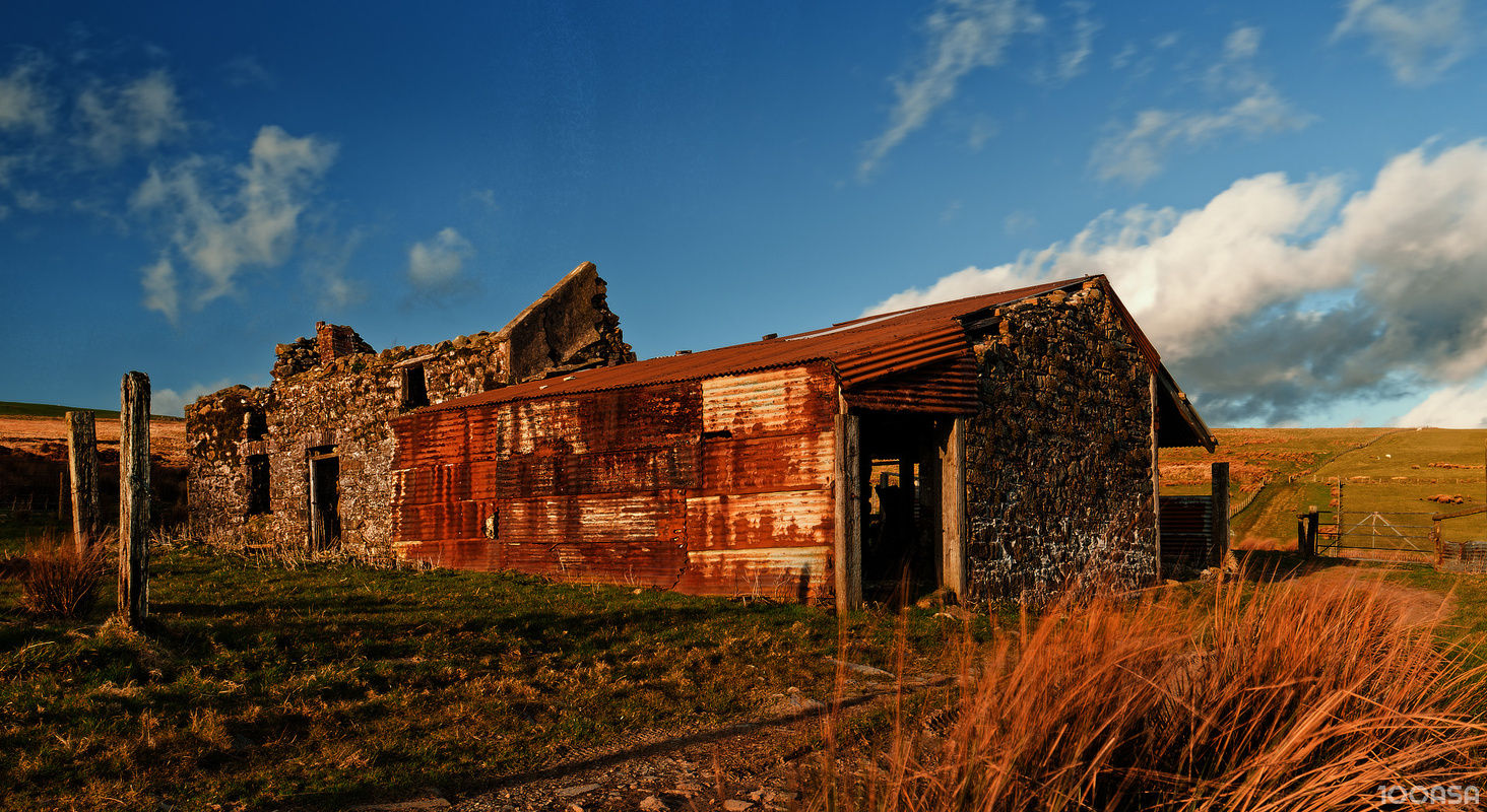 Trinant sundown | 100ASA